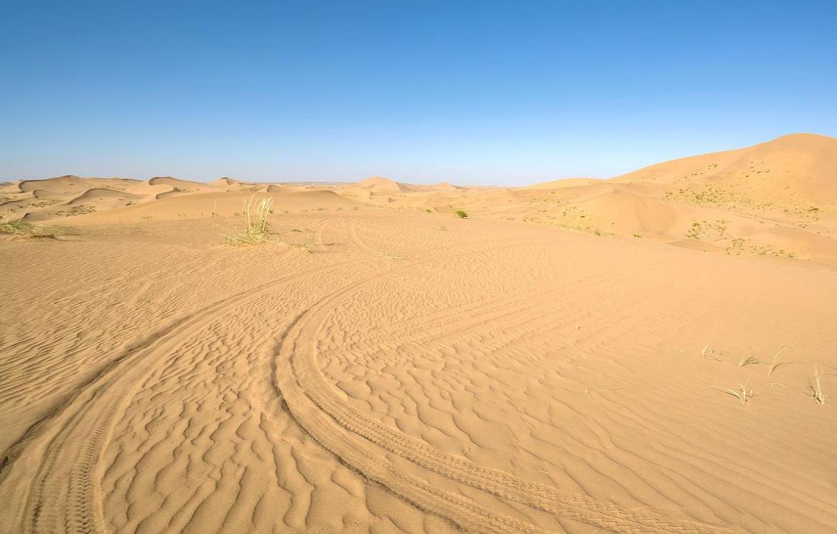 Analysis: Wonderful and Mysterious Desert, Desert Ecosystem, Landform ...