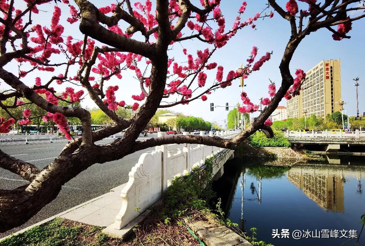 [Prose] Feeling happy after reading early summer - iMedia