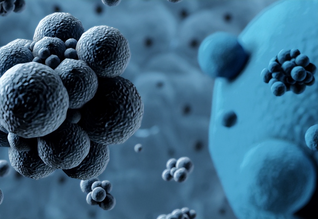 Live 20 years longer if you are hungry? American scientists: When ...