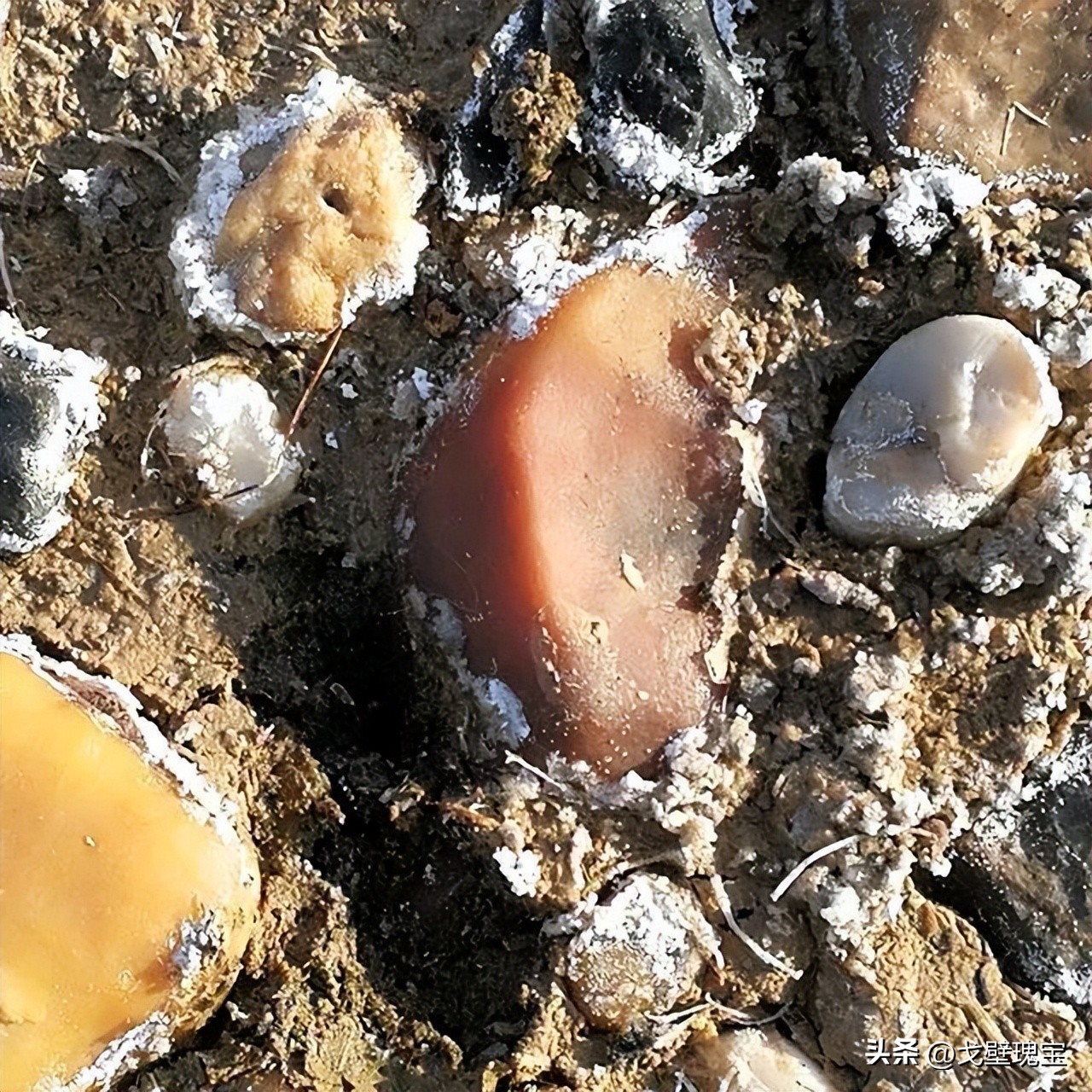 How to distinguish between gold silk jade surface material and non ...