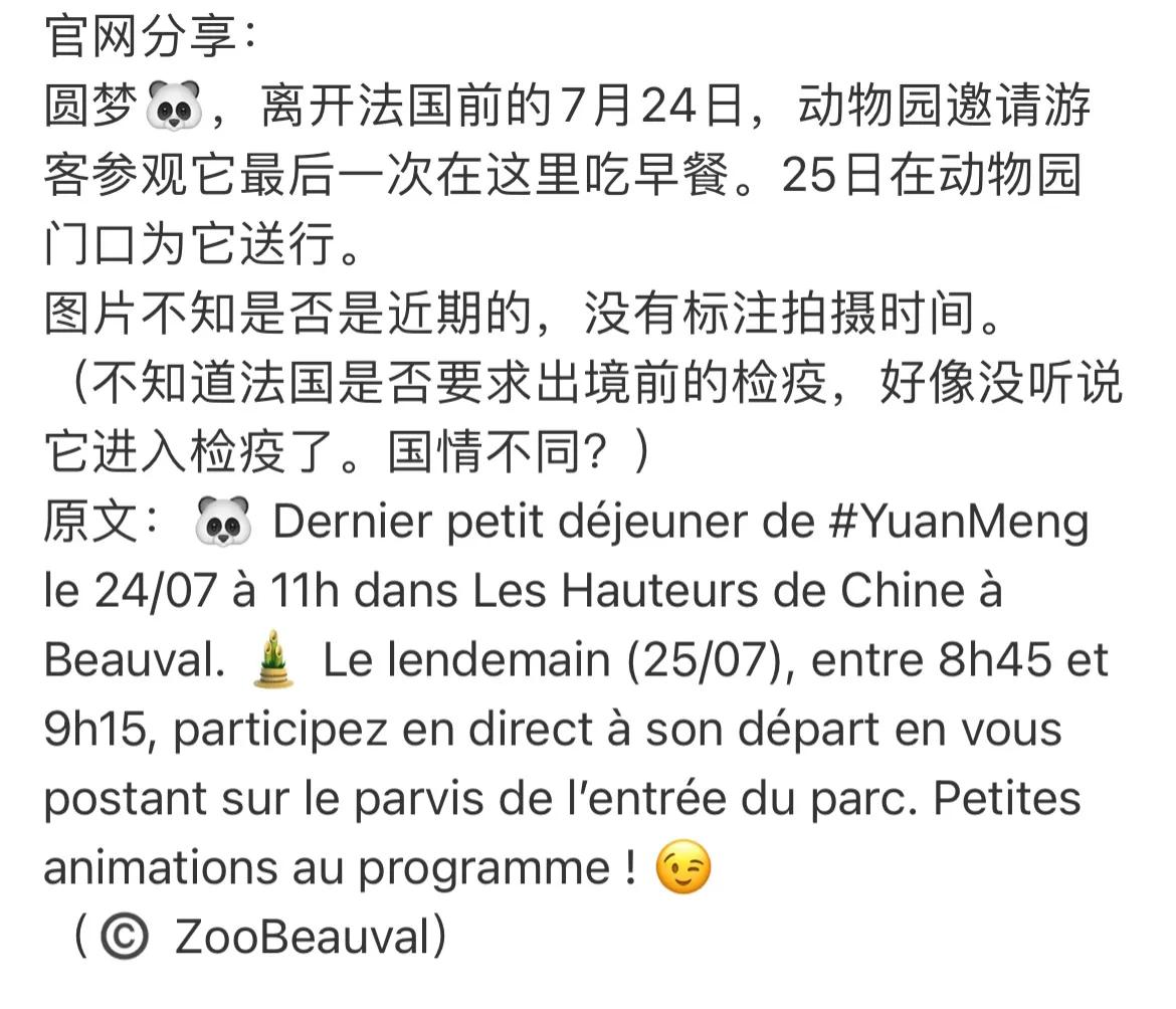 Fubao's rumored boyfriend, Yuanmeng, a giant panda living in France ...