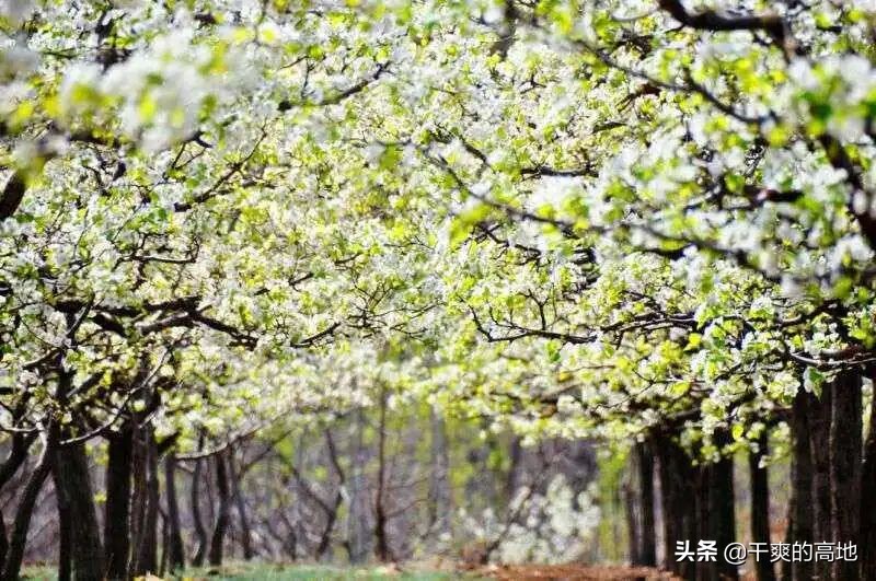 Chen Jiming: I miss the wind - iNEWS