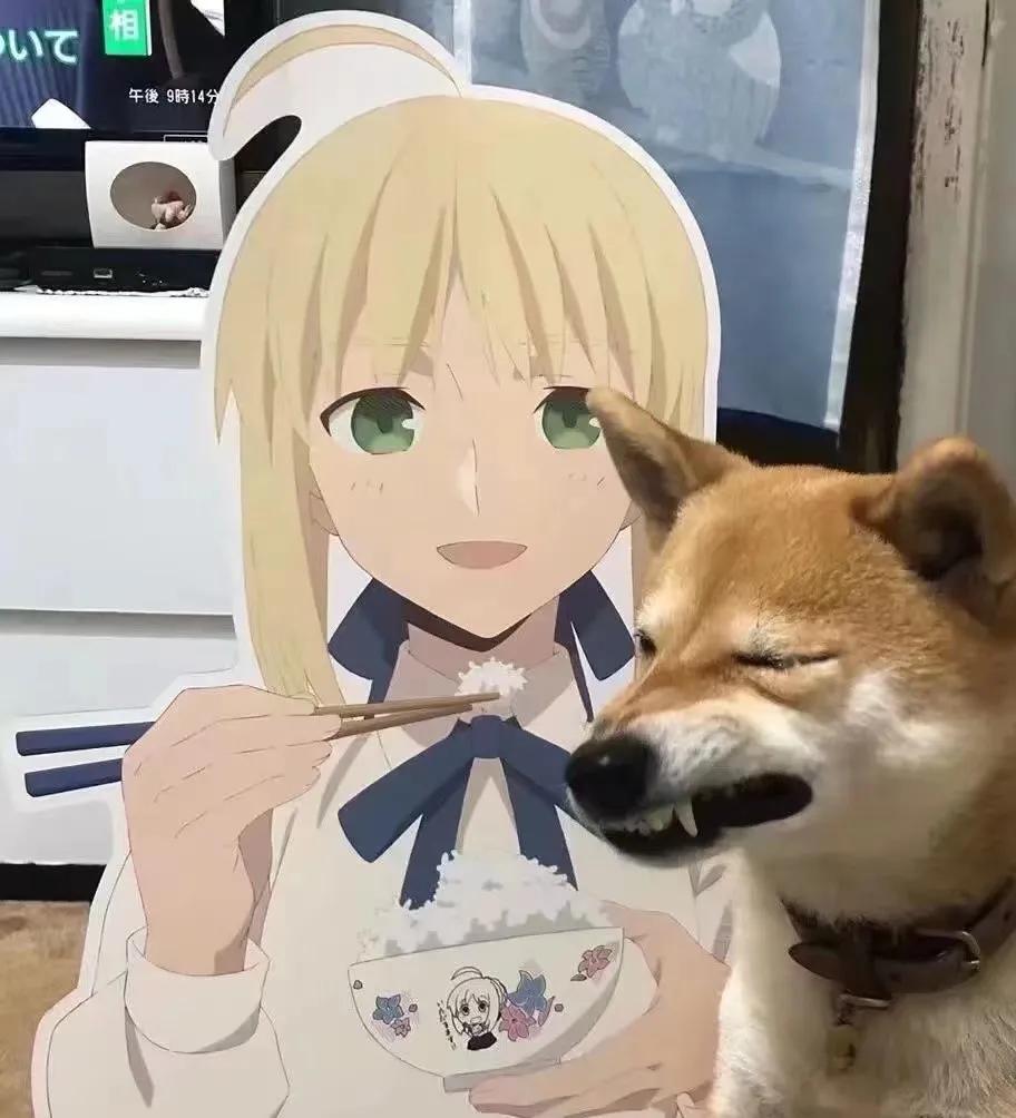 Shiba Inu was deceived by the rice on the humanoid stand, and he could ...