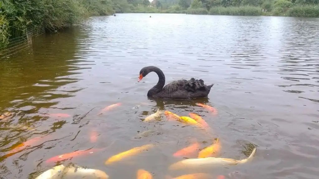 2 intriguing and unpopular poems, you need to experience them carefully ...