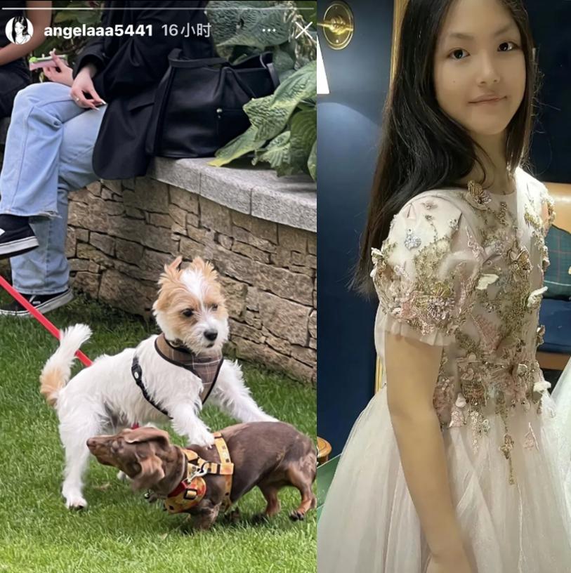 13-year-old Wang Shiling posted photos of walking the dog, hired a ...
