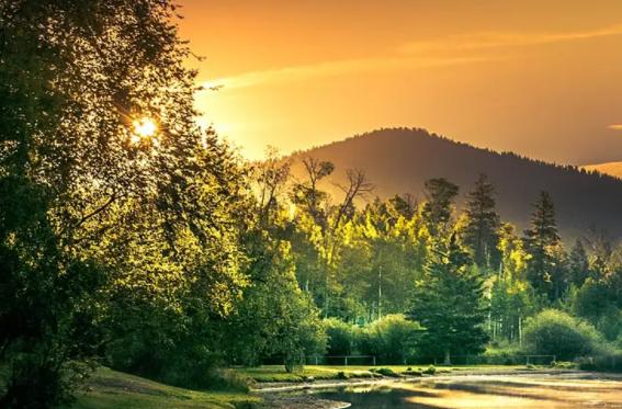 Scenic ticket management software plays a central role in the growth of ...