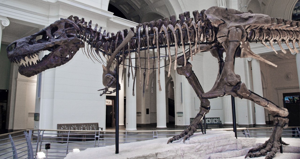 68 million years ago, Tyrannosaurus rex was the top hunter in nature ...
