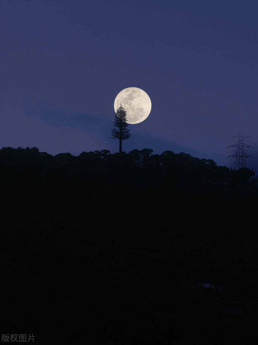 Yutai Xin said: Li Bai's "Drinking Alone under the Moon" also talks ...