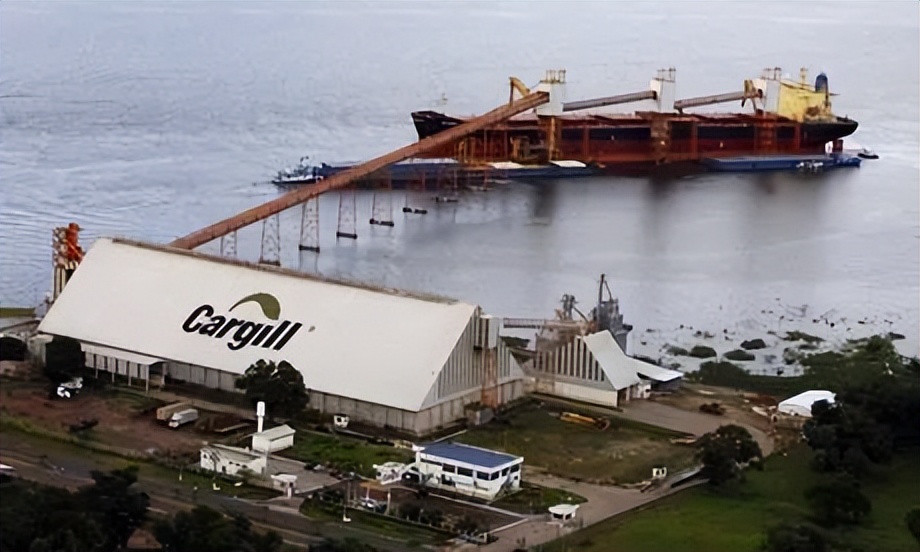 Commodities trading giant Cargill to build methanol and ammonia-powered ...