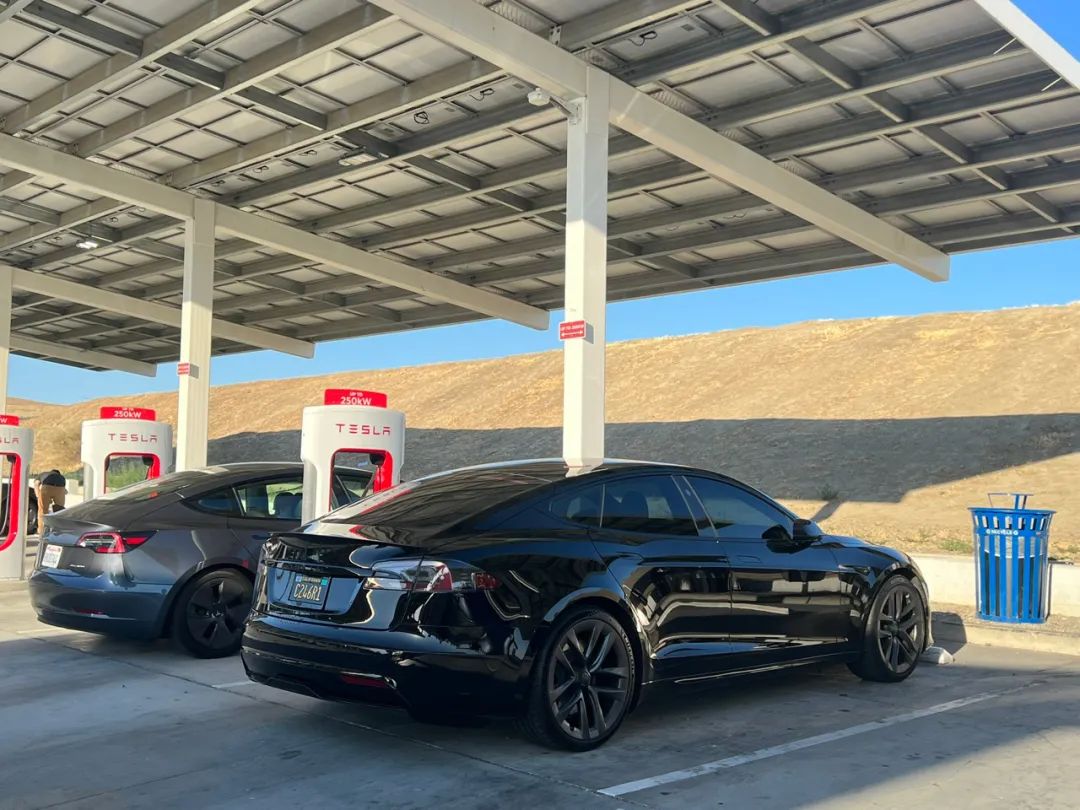 Today's Tesla can withstand any storm - iNEWS