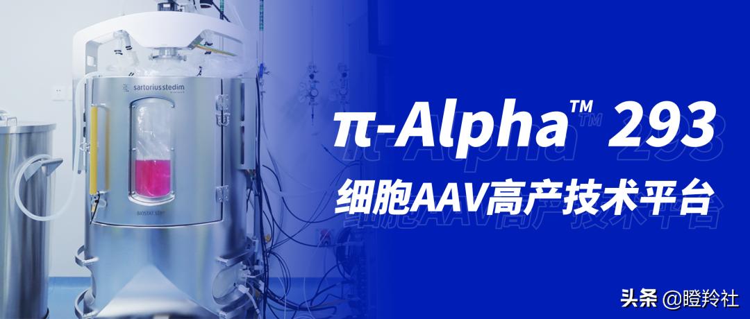 10 times higher!Biogen officially released the π-Alpha™ 293 cell AAV ...