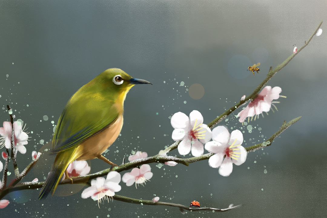 The 8 beautiful spring poems written by Su Shi: Half a moat of spring ...