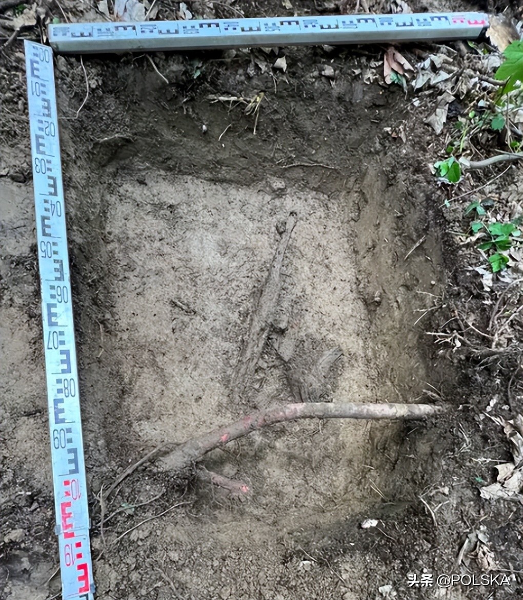 A sentence from the video that led him to discover all the "property ...