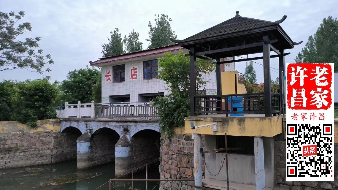 Youfang Li on the Bank of the Yinghe River in Xuchang - iNEWS