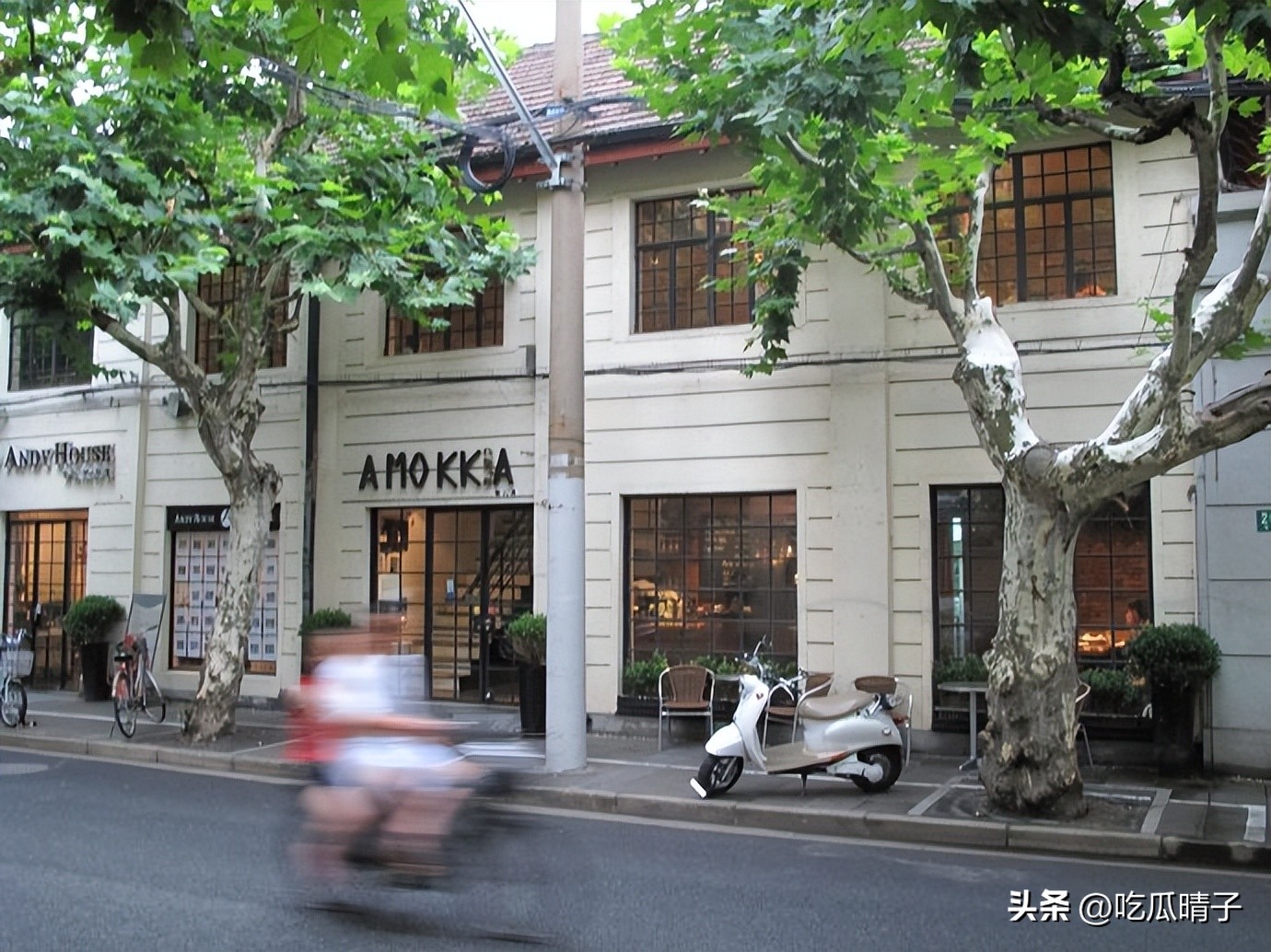 The little princess of Anfu Road: The 50-year-old Shanghai aunt became ...