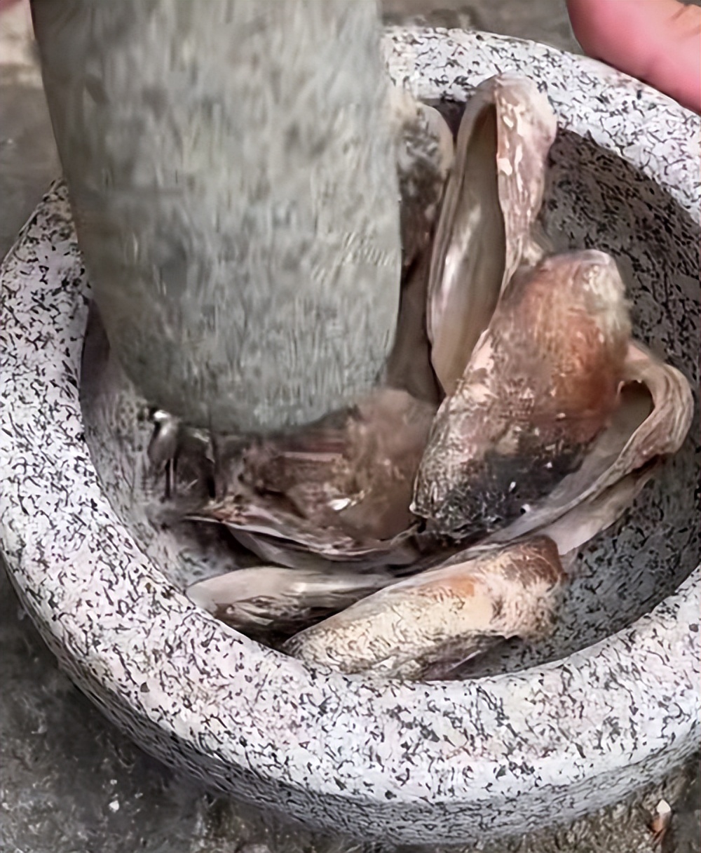 Why do you put the abalone shell together in the soup? - iNEWS