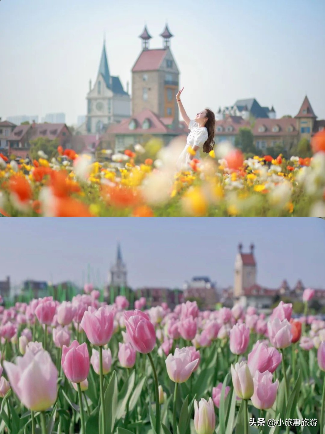 The 9 most beautiful flower sites in Wuhan in March, don't regret it ...