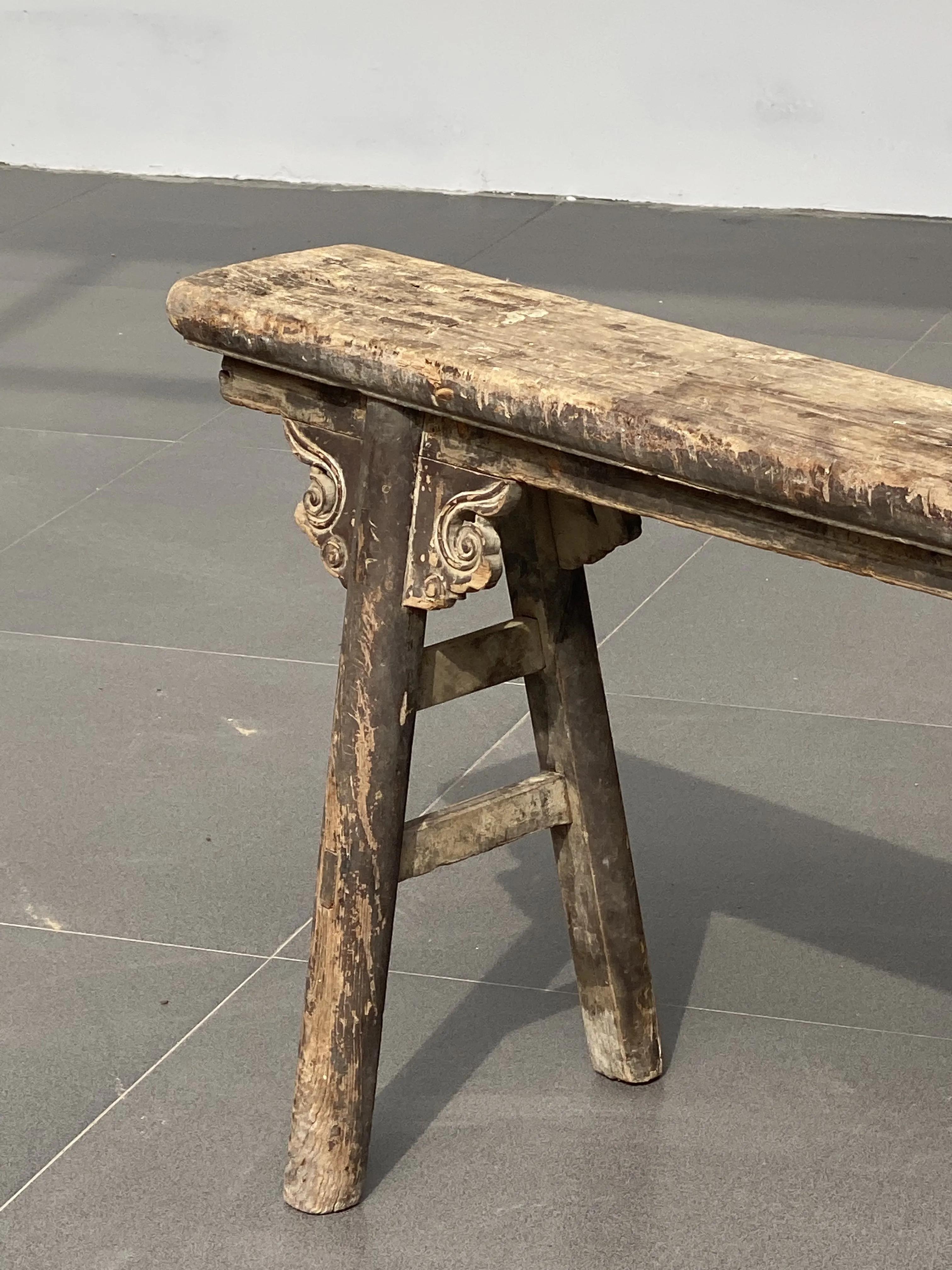 Lingzhi Teeth: Bench - iNEWS