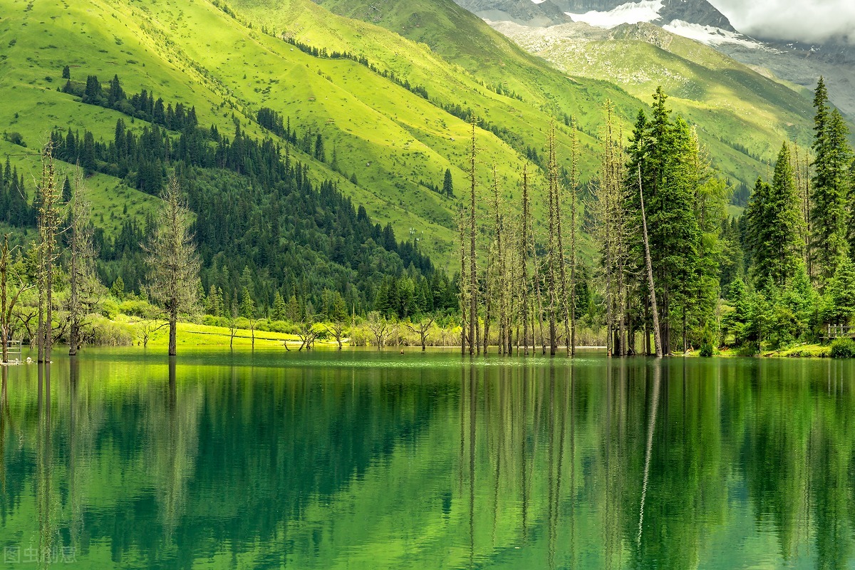 What is the dragon nematode that blows up short videos these days? - iNEWS