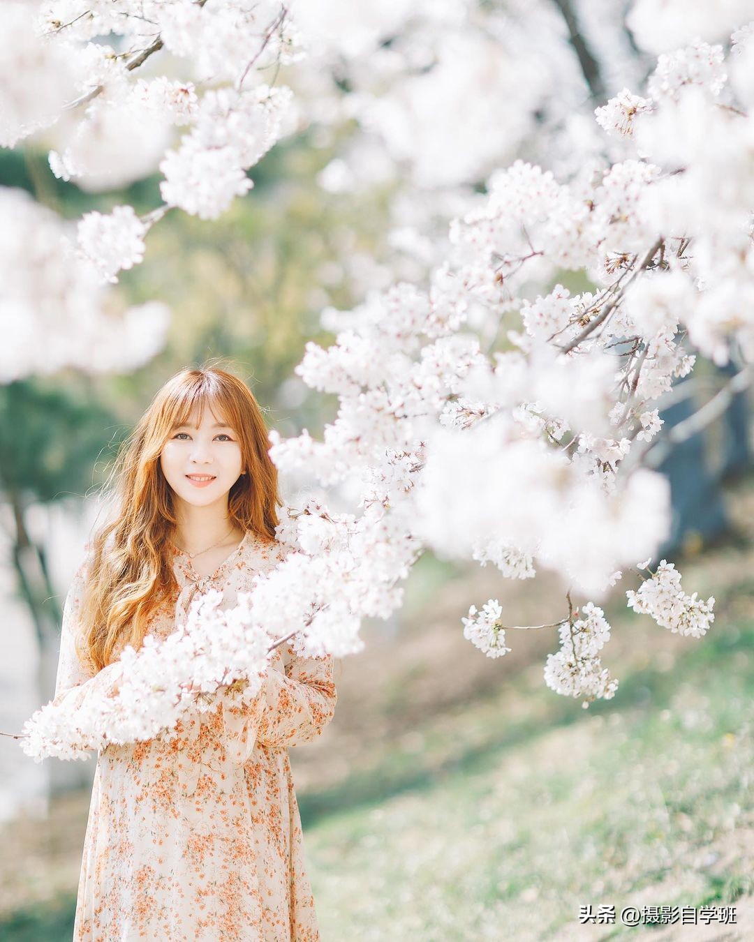 5 tips for portrait photography in spring, catch the tail of spring and ...