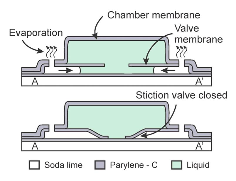 Liquid Encapsulation in Parylene Microstructures Using Integrated ...