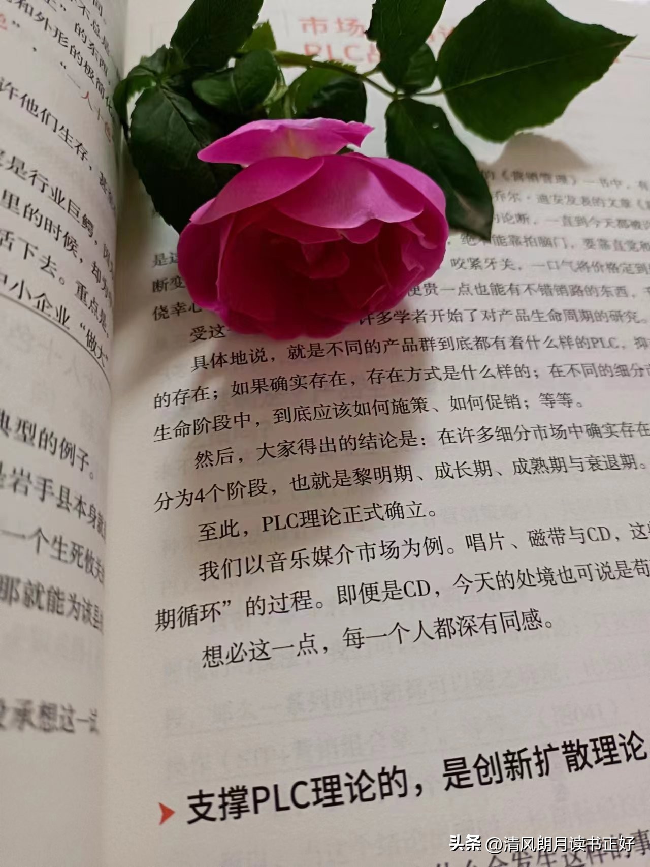 Life is inseparable from management, and business development requires ...