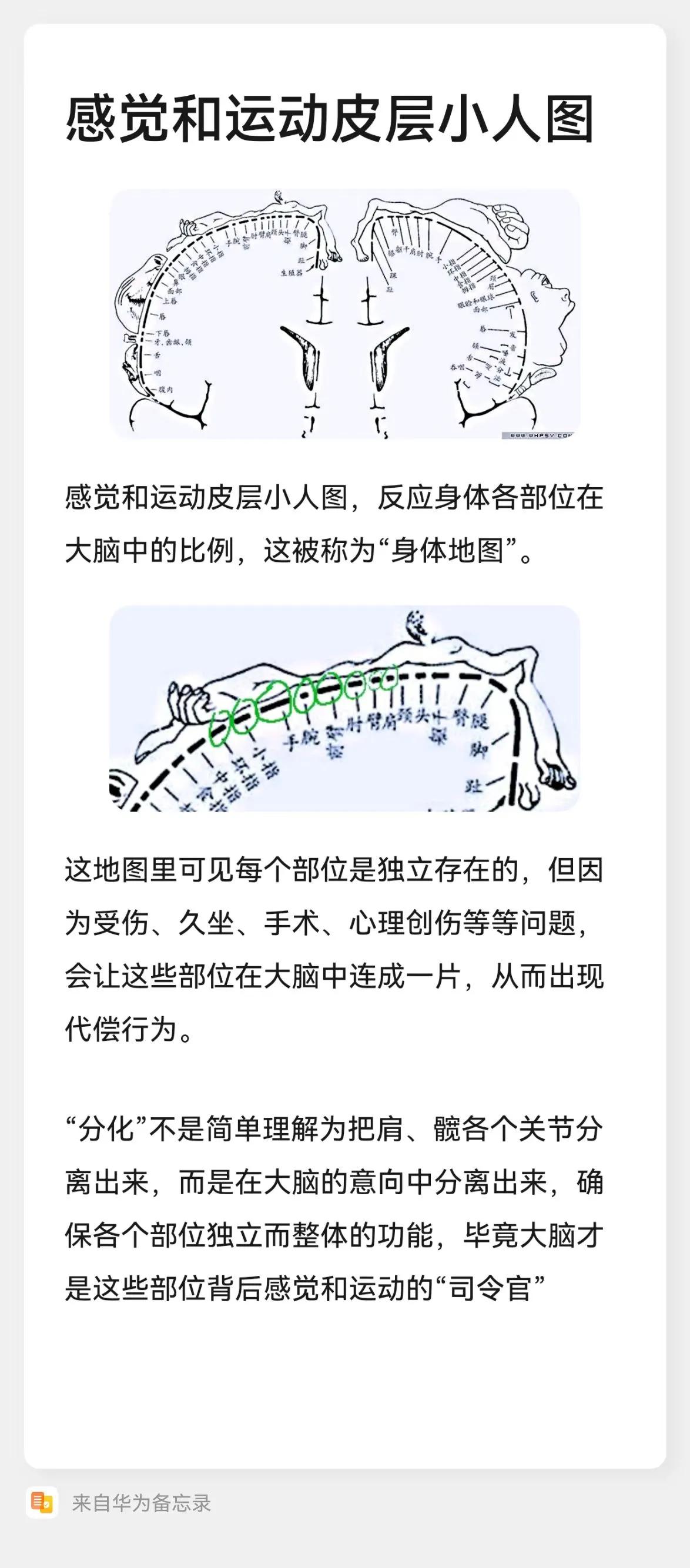 October 10th Teacher Daidai's first yoga class - iNEWS