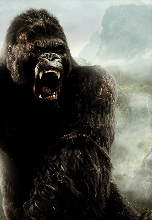 The movie "King Kong" interprets King Kong's wisdom and emotions, how ...