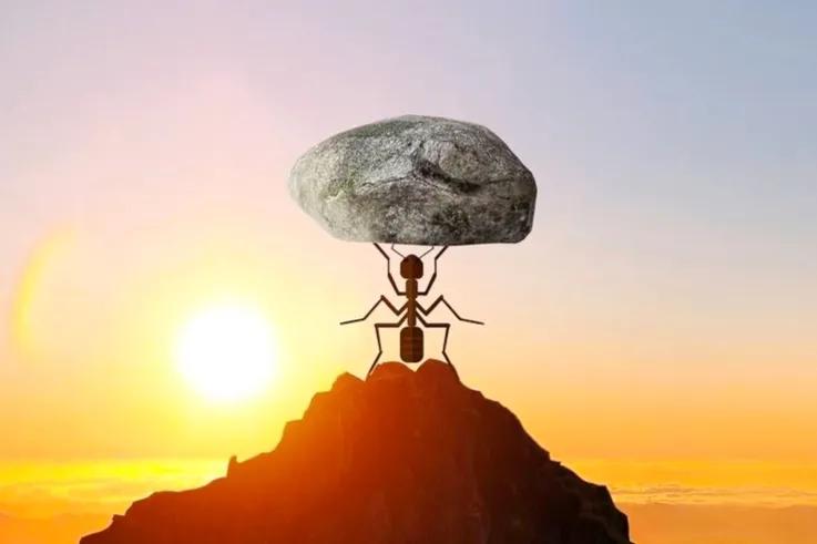 The amazing ant effect makes you dare to break through and run towards ...