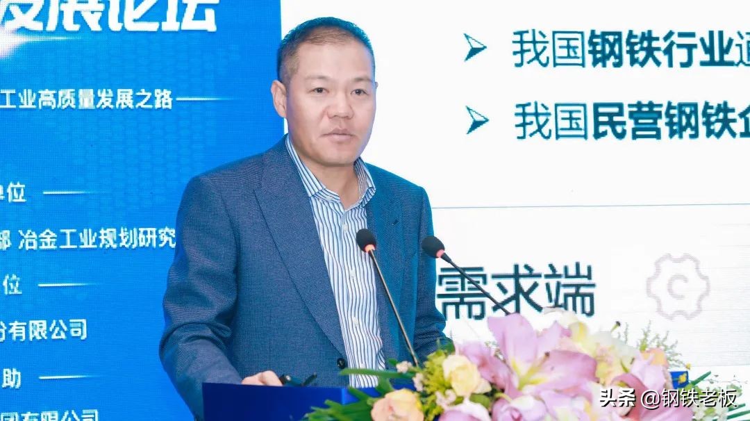 Ding Liguo: Delong Steel Group's overseas 20 million tons steel project ...