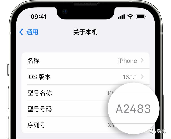 "Detailed Explanation"How to Identify Your iPhone Model - iNEWS