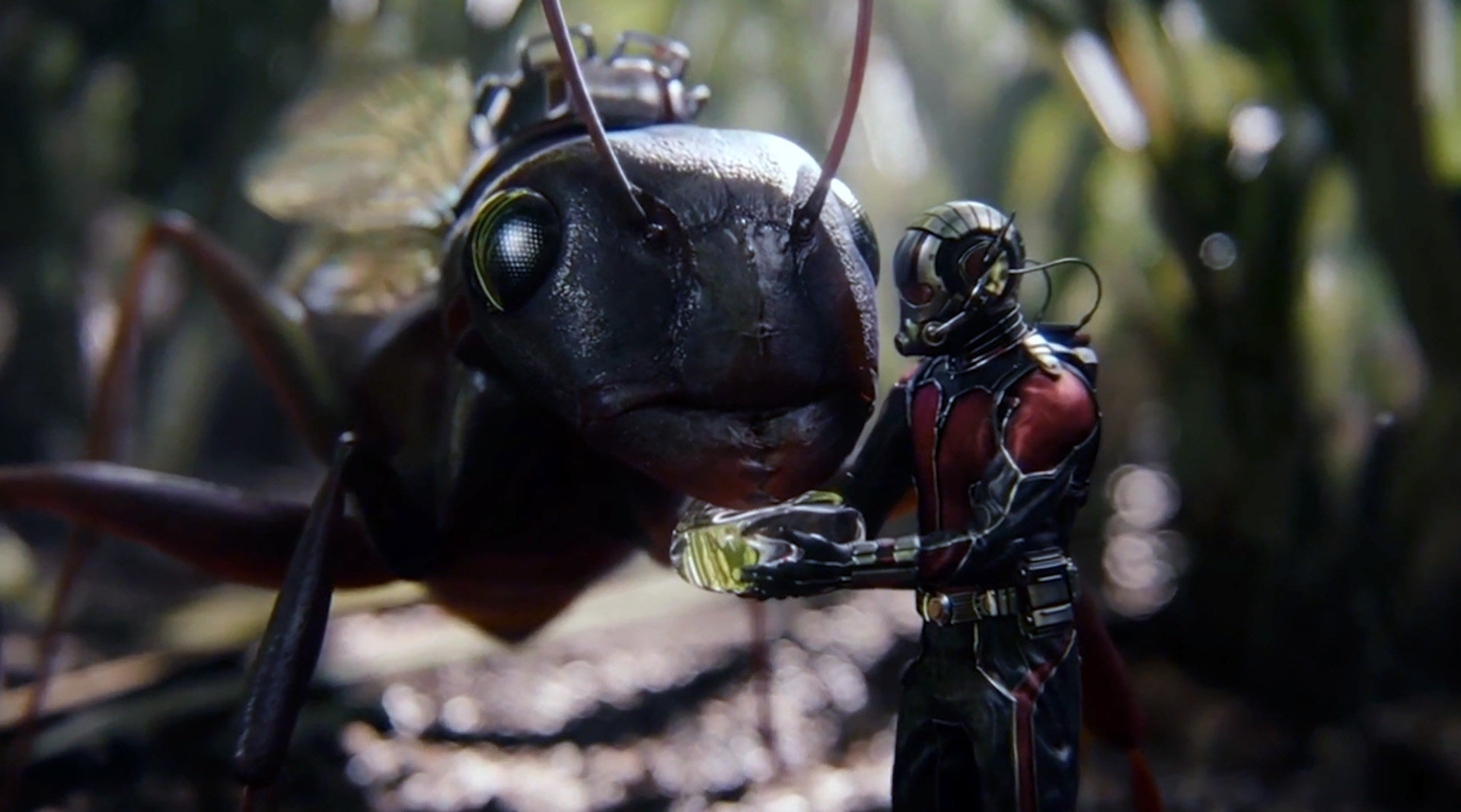 The Movie "Ant-Man": Individualism in American Movies - iMedia