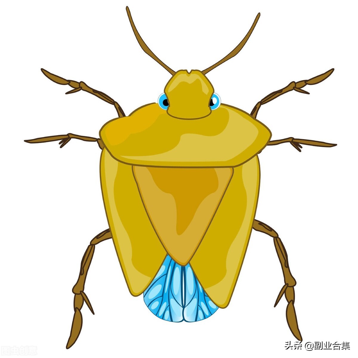 (1) The mating of hermaphrodite flatworms requires "fencing" to ...