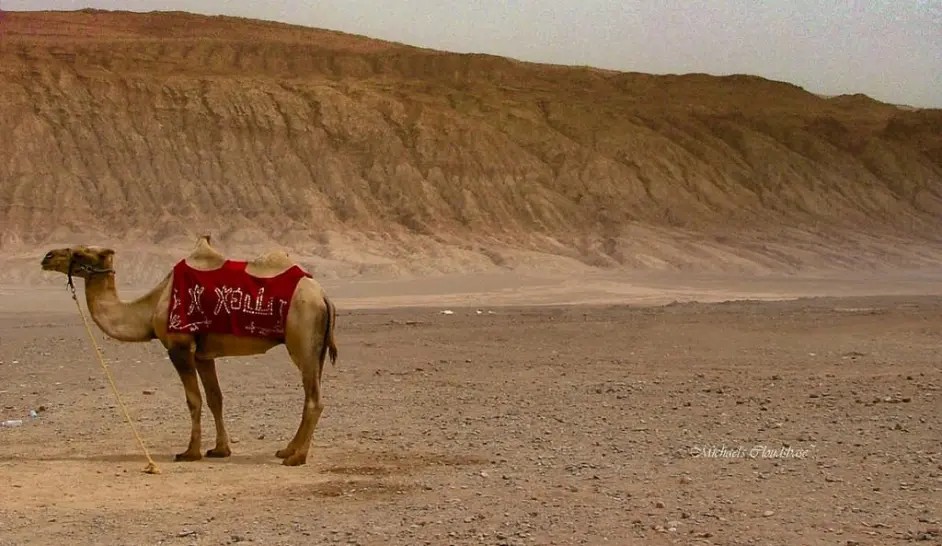 "Travel along the Silk Road" China. Xinjiang. Turpan - iNEWS
