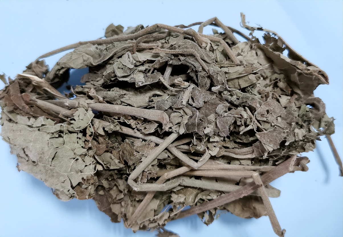 Take you to identify hibiscus leaves - iNEWS