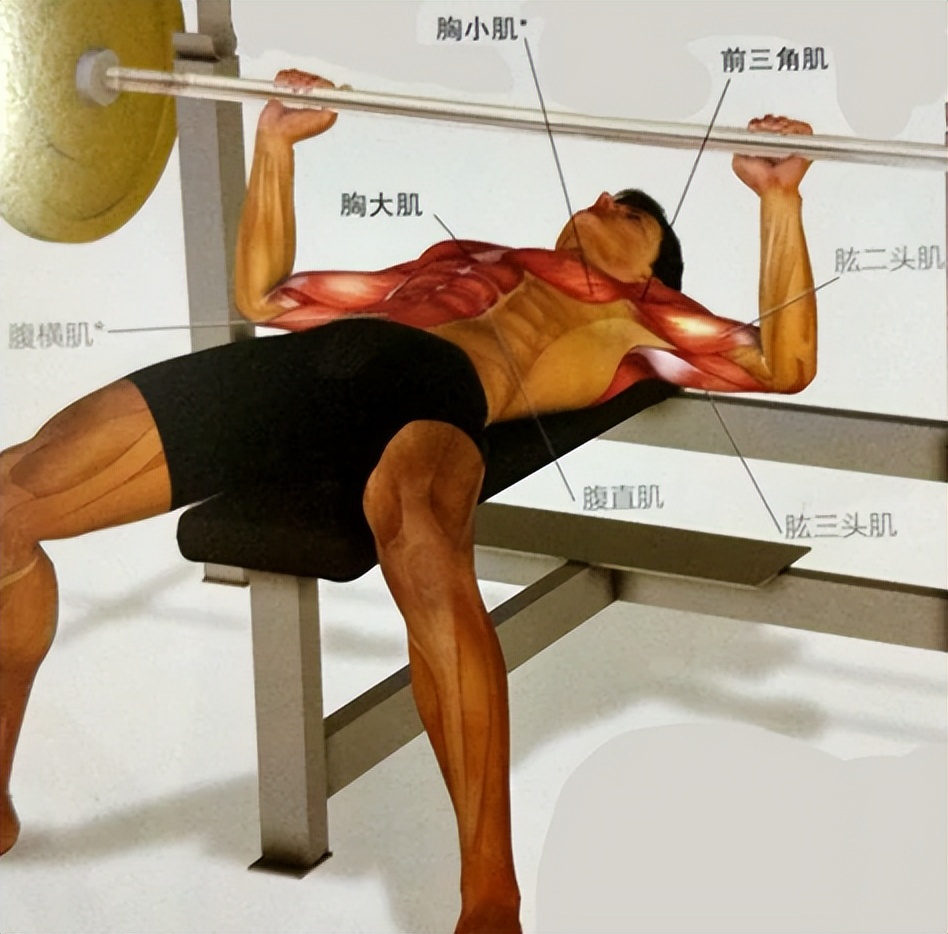 Chest Day: How to get a man's 36D - iNEWS