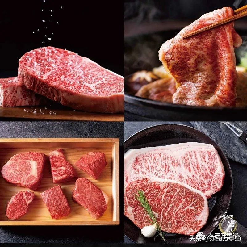 "Wagyuen" tells you why Wagyu beef is noble and luxurious - iNEWS