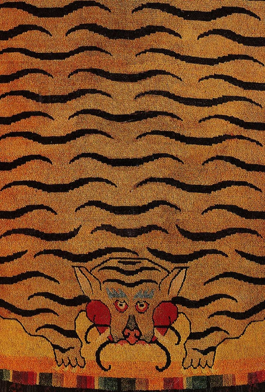 The Tiger Roars and the Wind Rises - Exploring the Beauty of the Tiger ...