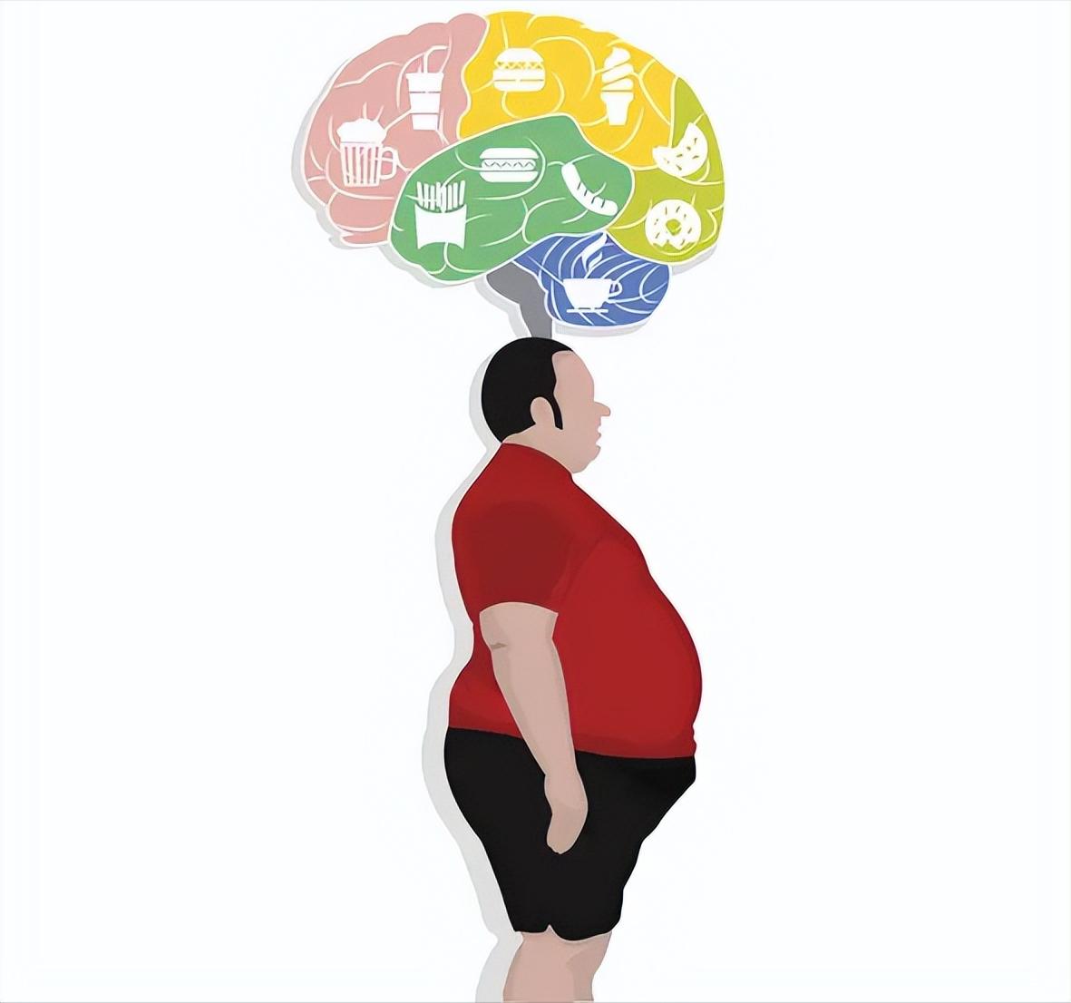 Obesity affects the brain's response to nutrients - iNEWS