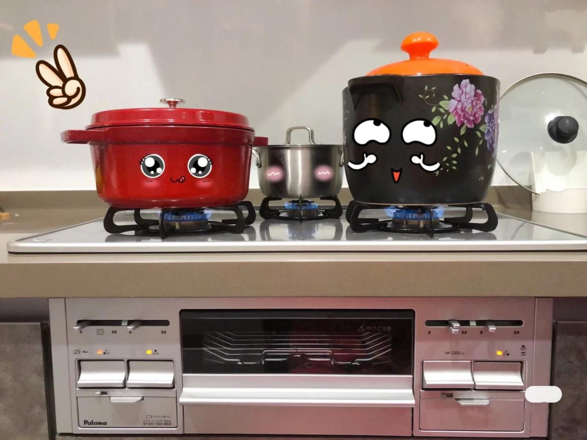 Just based on 3 points, the Japanese stove captured my heart, the area ...