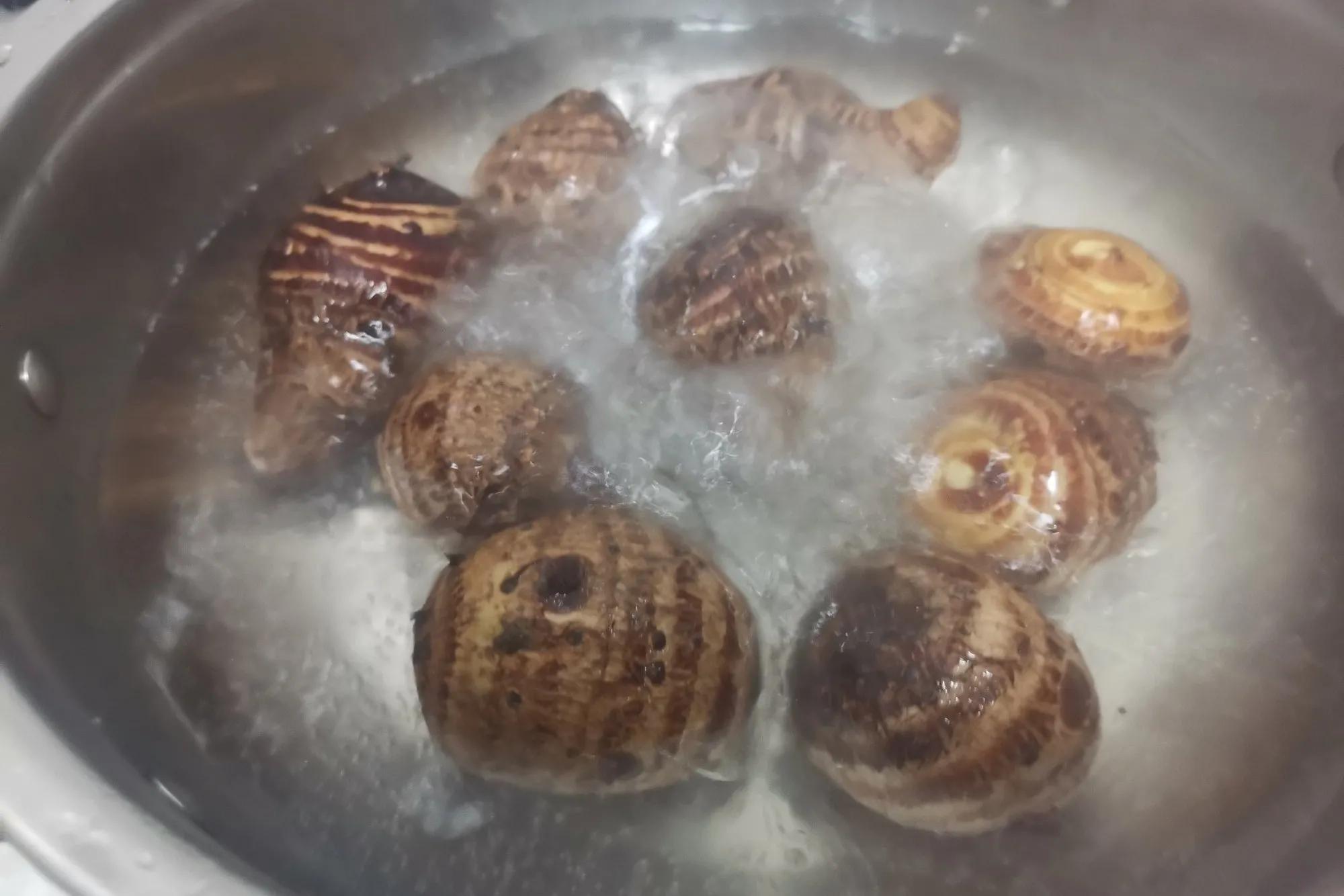 Farming Notes: Taro Dumplings Wrapped with Black Rod Taro - iMedia