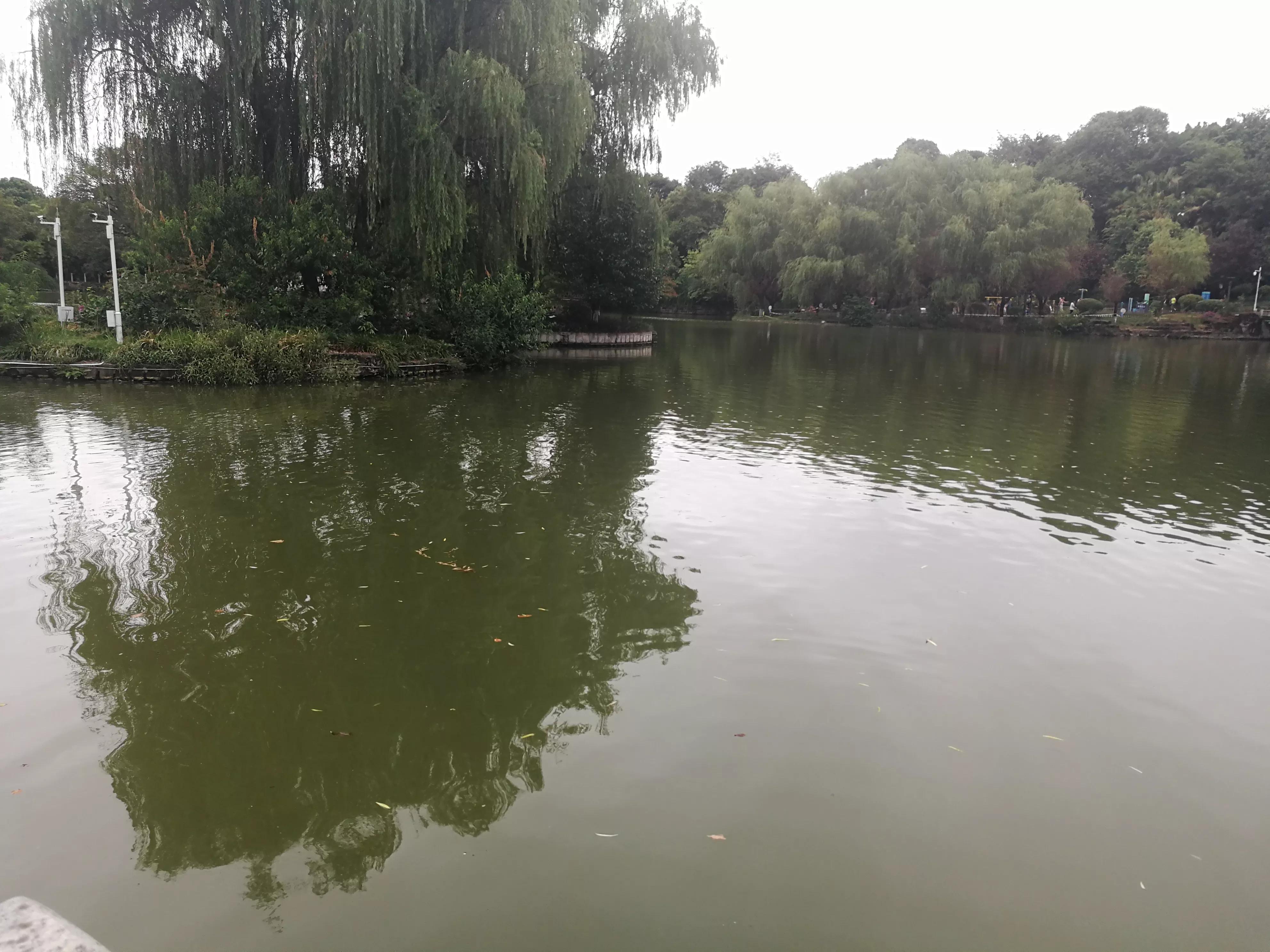 Qingbaijiang Yihuyuan Park is less crowded and beautiful - iNEWS