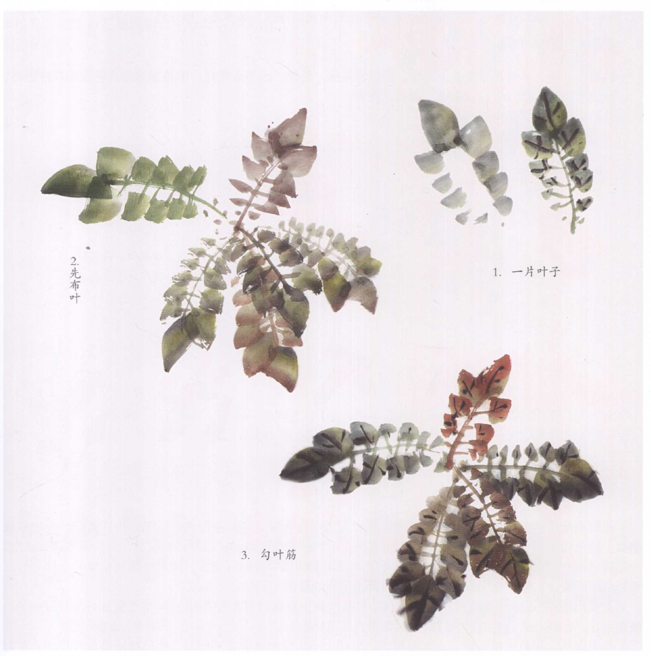 Color ink vine flower painting method - iMedia