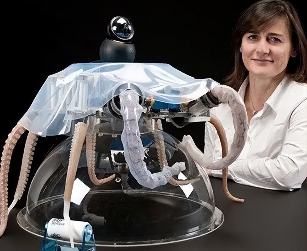 Introducing liquid or gas into the soft structure can adjust the motion ...