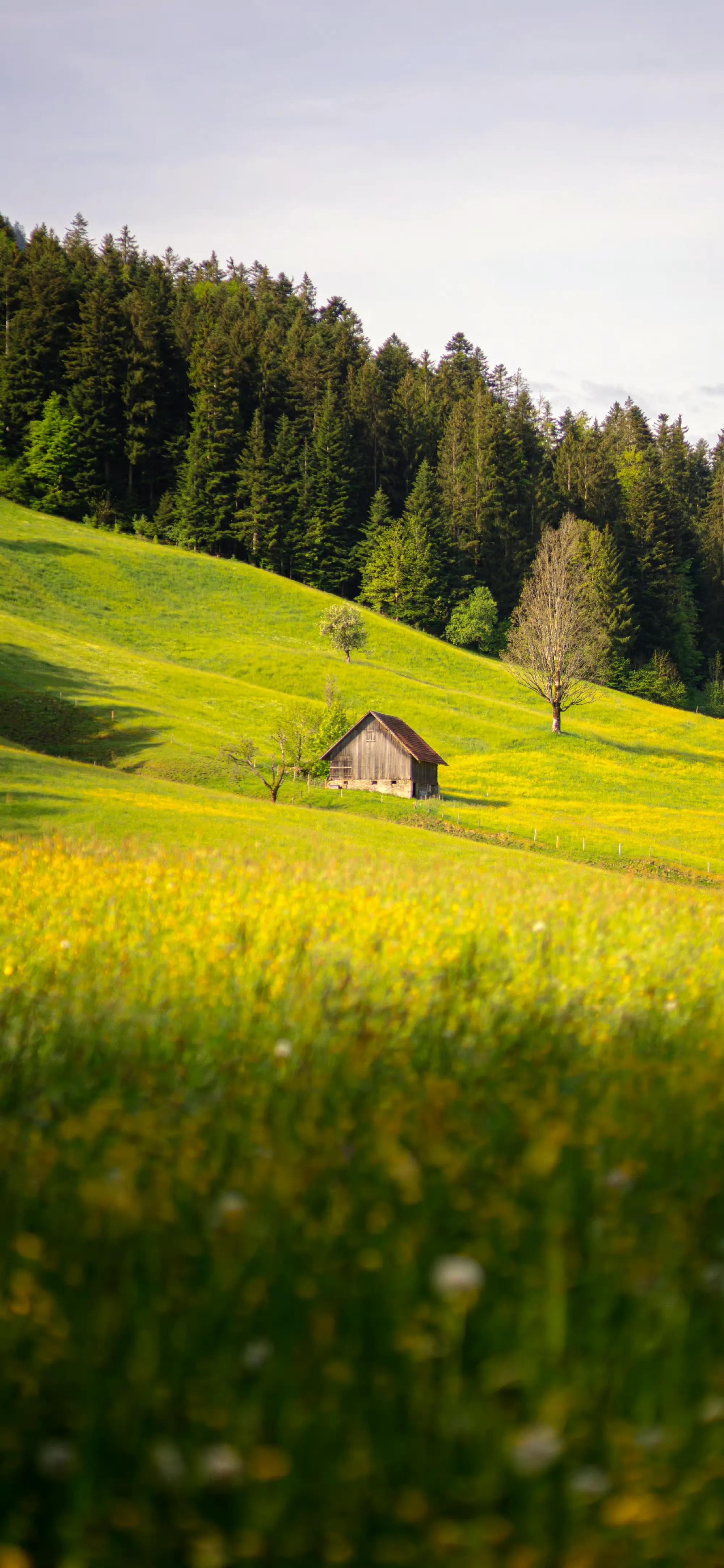 8 Beautiful Short Poems That Are Enchanting - iNEWS