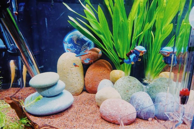 Medieval stone aquarium use in Edser and how to maintain it - iMedia