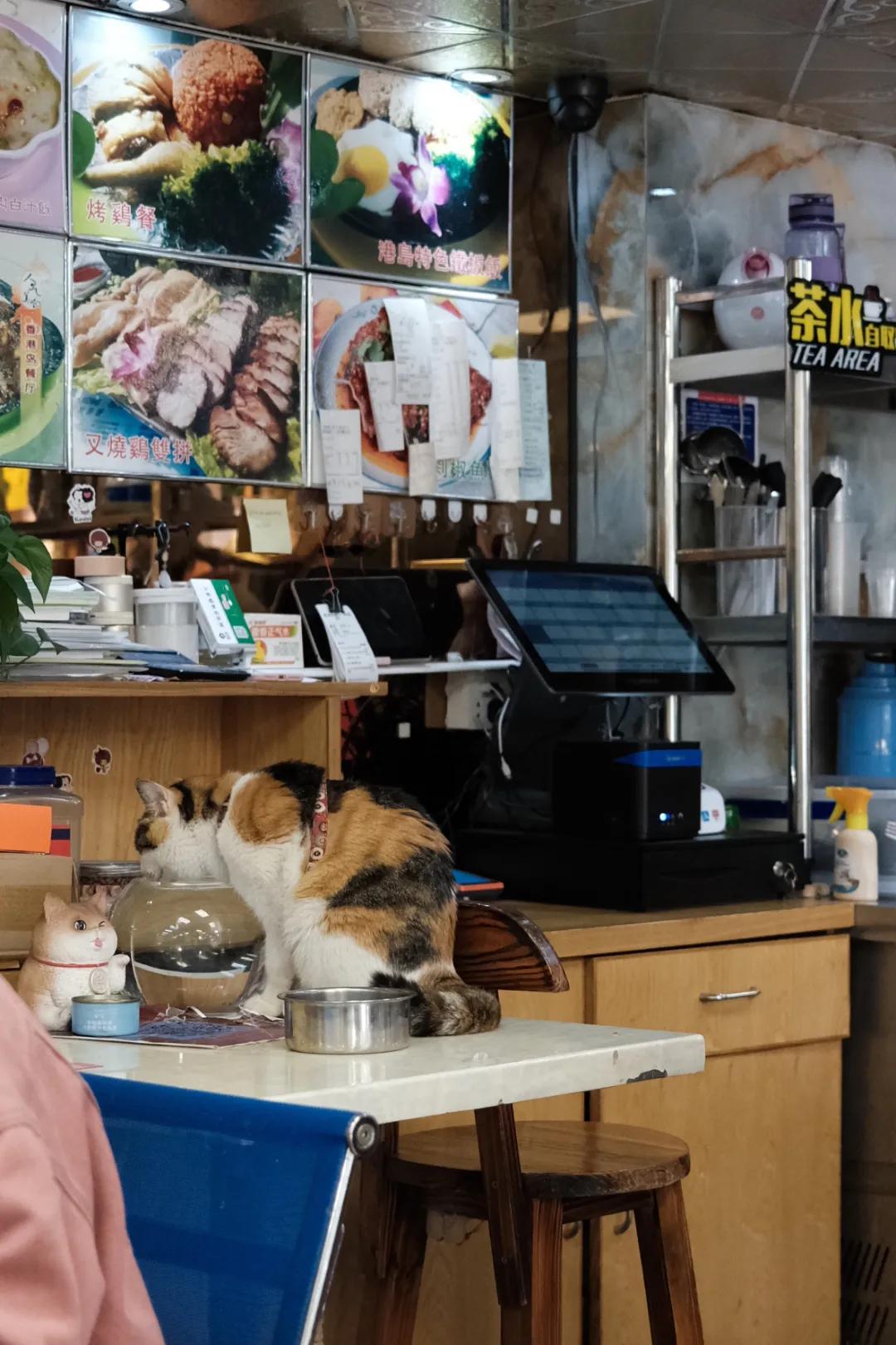 Visiting the shop: A Hong Kong grandfather guarding a twenty-year old ...