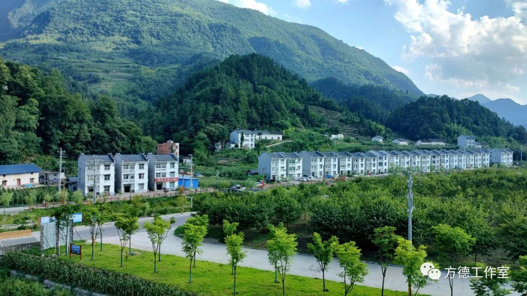 It is suggested that Zigui Road should be renamed as Zhilan Road - iNEWS