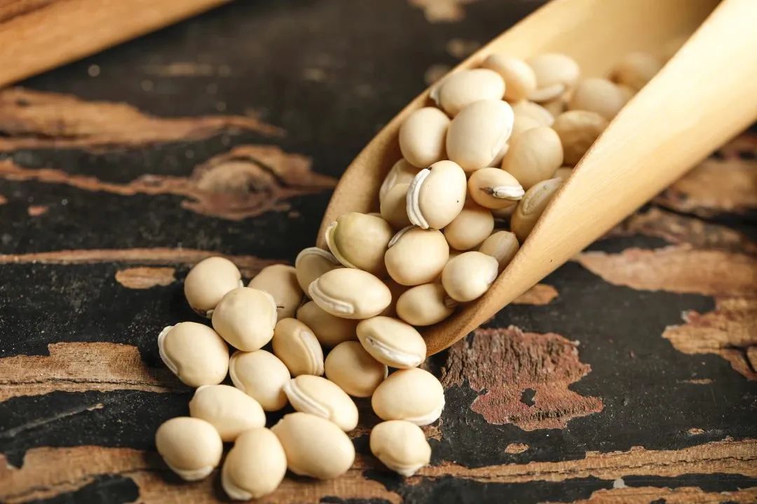 Moisture is most afraid of this kind of food! People who eat to expel ...