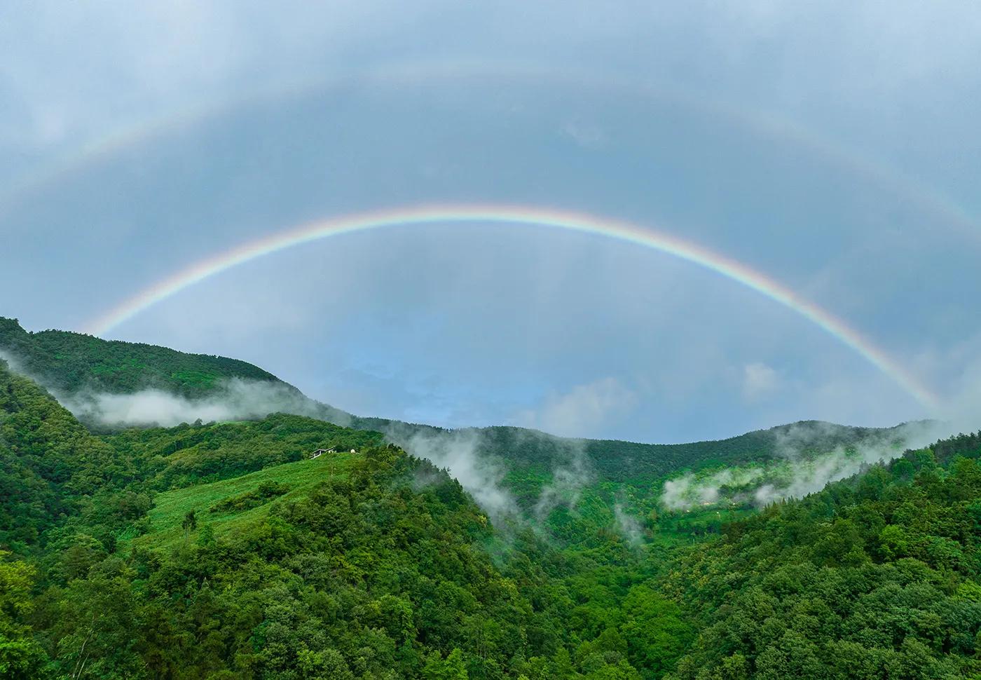 After reading "If talent is not recognized" - iNEWS